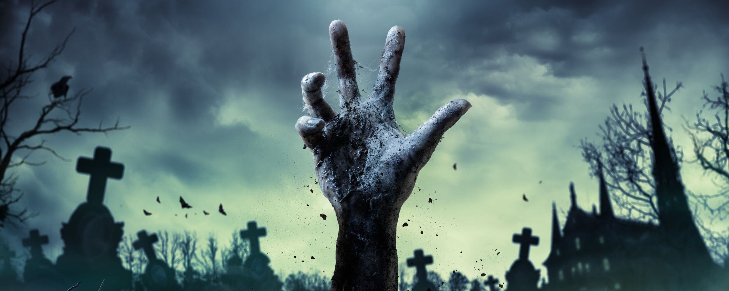 Canadian Journal of Zombie Science ABOUT